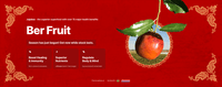 Royal Jujube | Zhao Fruit Australia | Buy @ Costco or Woolworths