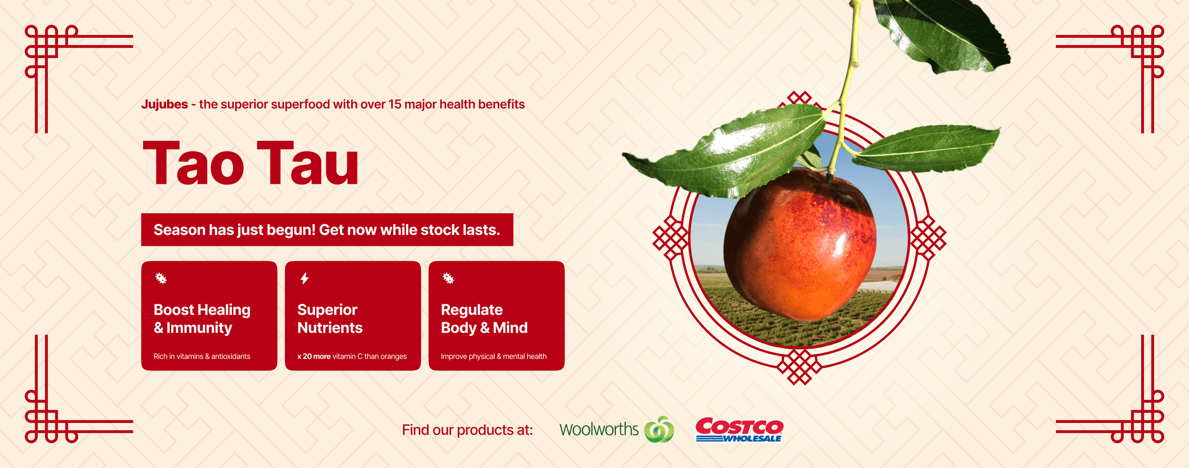 Royal Jujube | Zhao Fruit Australia | Buy @ Costco or Woolworths